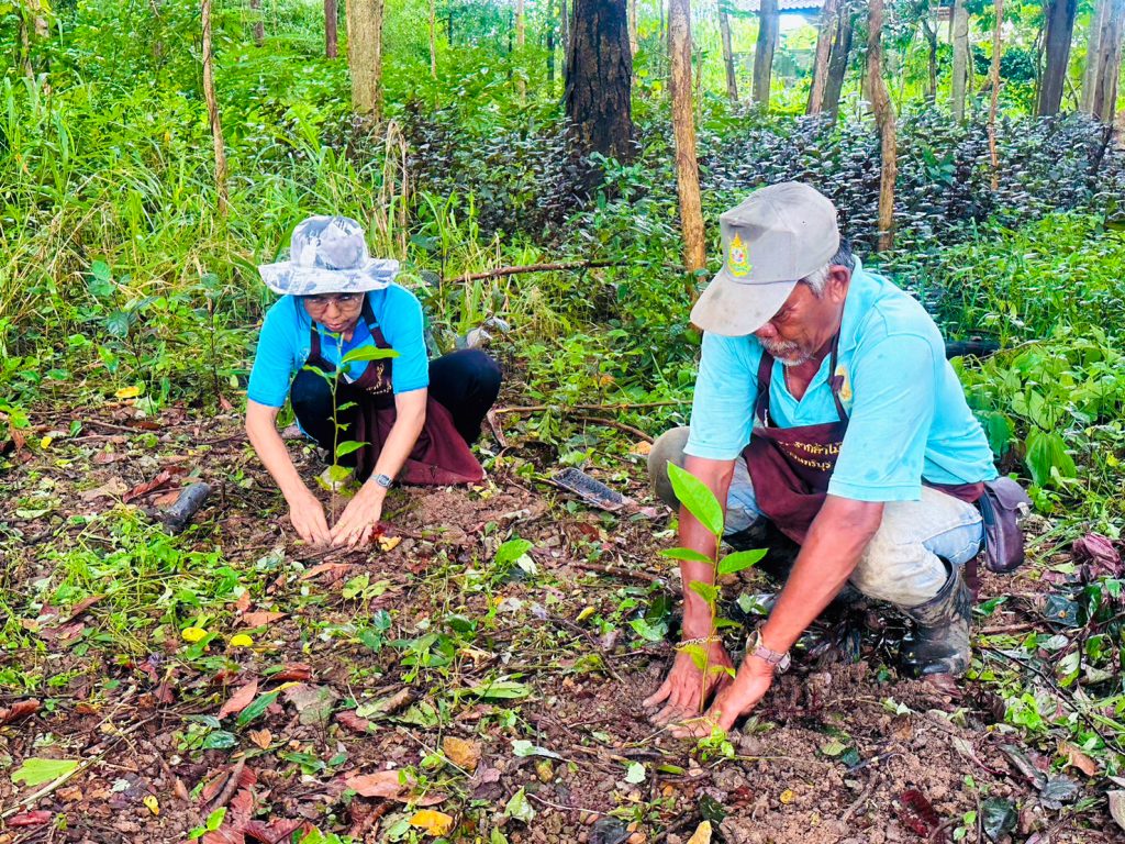 กลุ่มกิตติวนา ร่วมกับ สถานีเพาะชำกล้าไม้กบินทร์บุรี ร่วมกันปลูกป่าและ ...